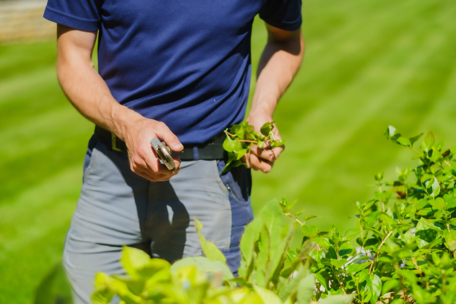 What Makes A Good Gardener? - Ortus